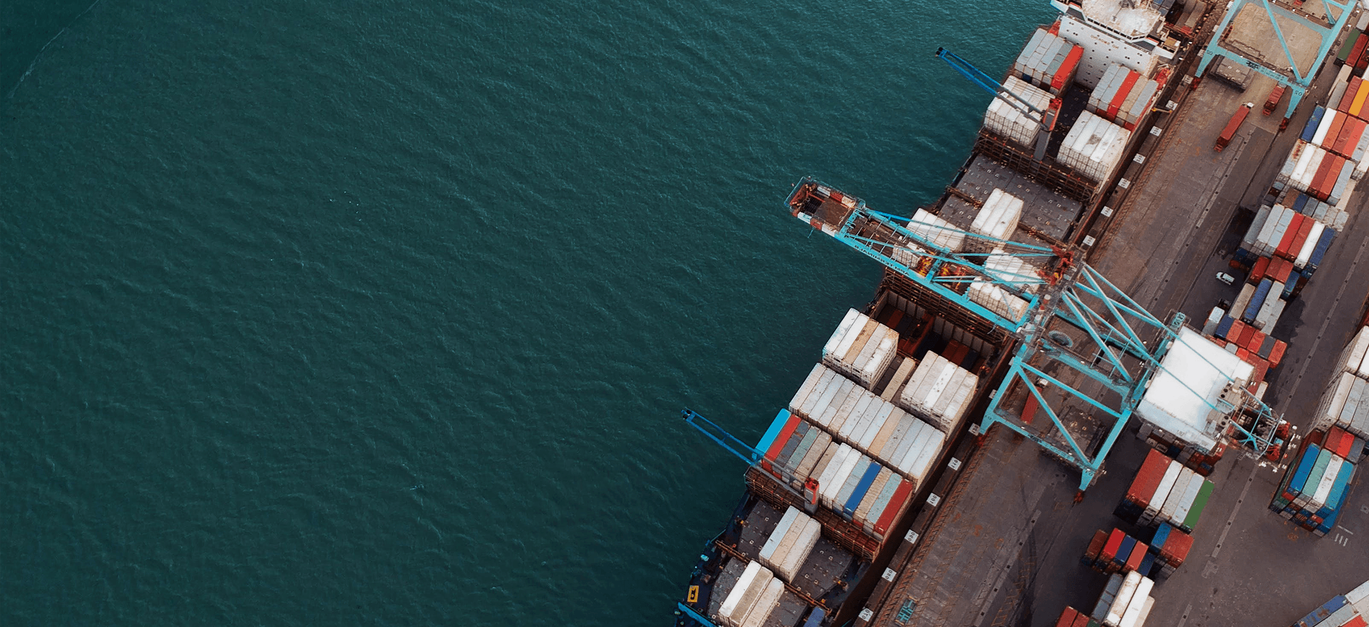 Container Tracking — check the container status